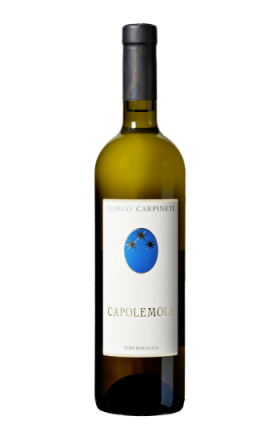 Capolemole Bianco - Marco Carpineti | Arcioni Wine Shop